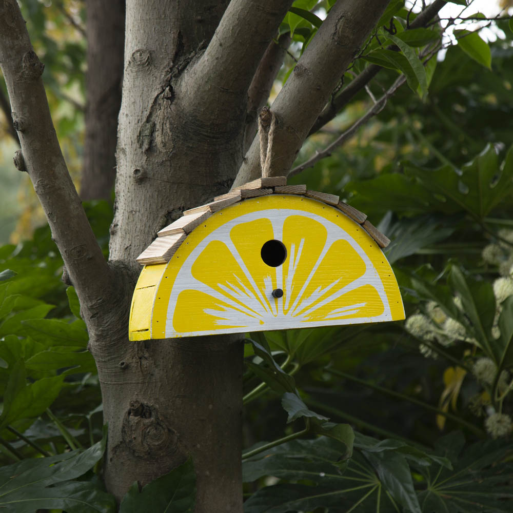 [OFFICIAL] Glitzhome 11.5"L Distressed Solid Wood Lemon Birdhouse